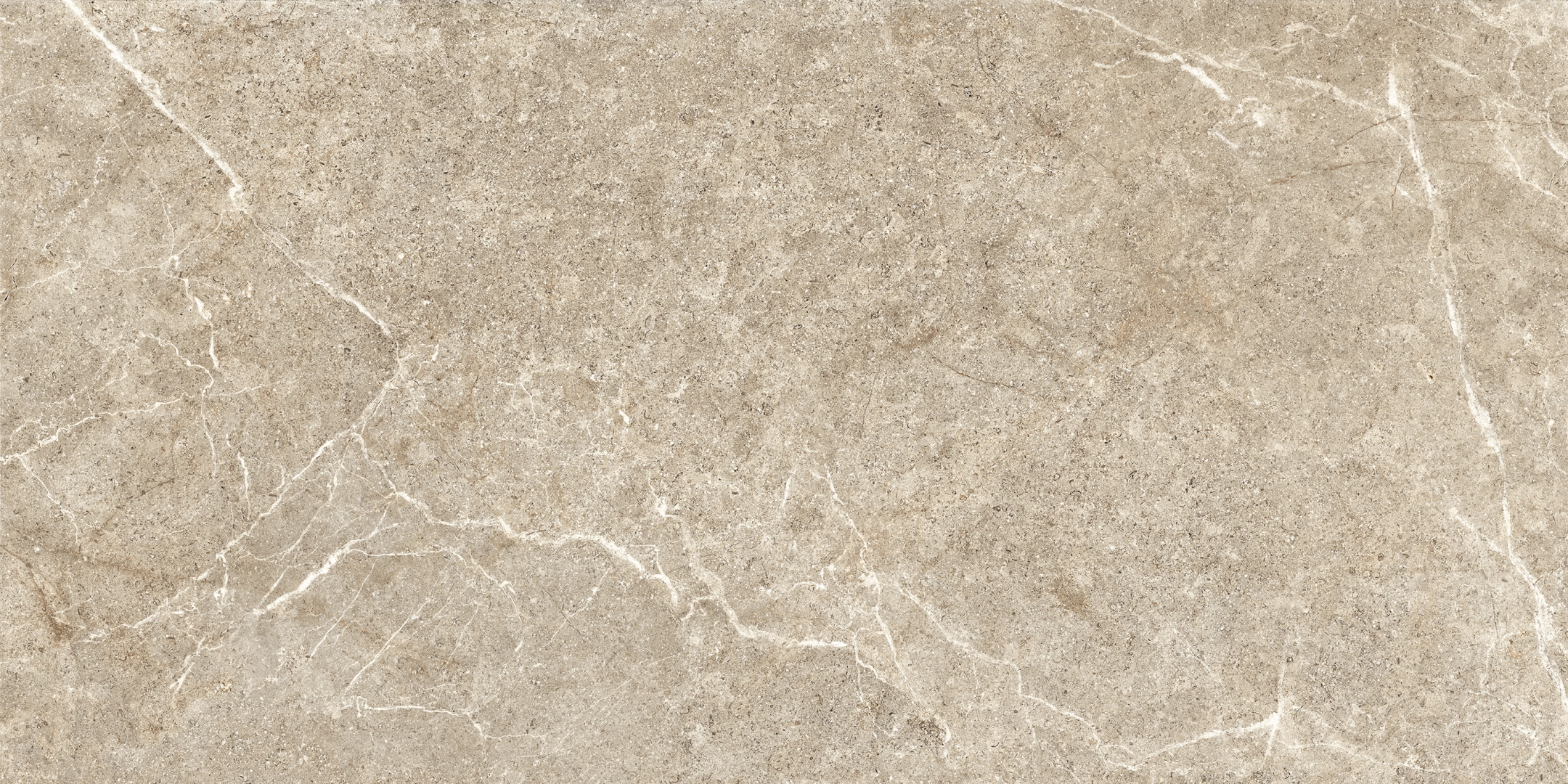 Il Cavallino Ceramiche Holystone Beige, Naturale, 61x122cm, 20.00mm ...