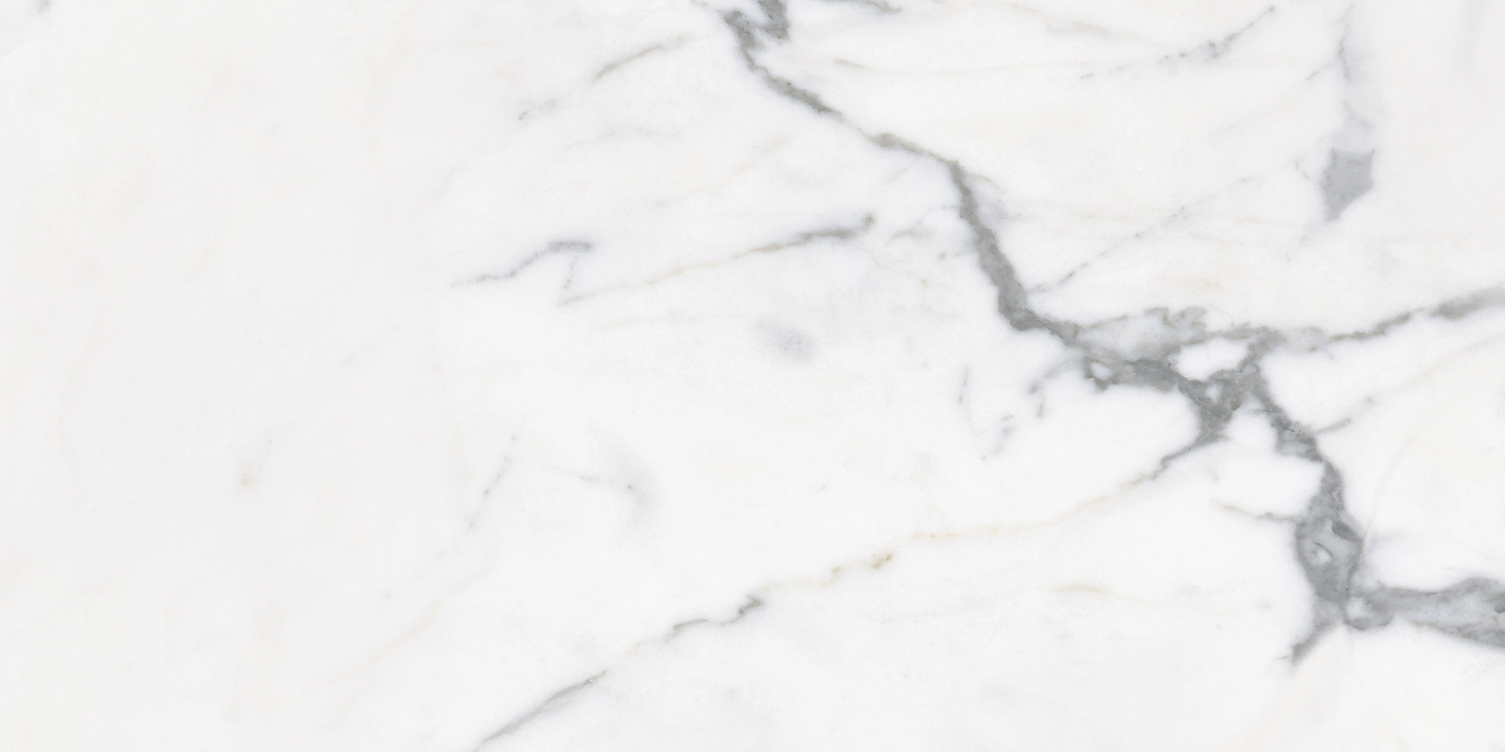 Pastorelli Ceramiche Sunshine Calacatta White, Shine, 30x60cm, 8.50mm ...